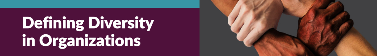 Defining Diversity for Organizations - Internally & Externally ...