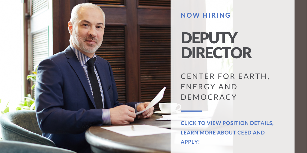 Professional Search: Deputy Director - Center for Earth, Energy and ...
