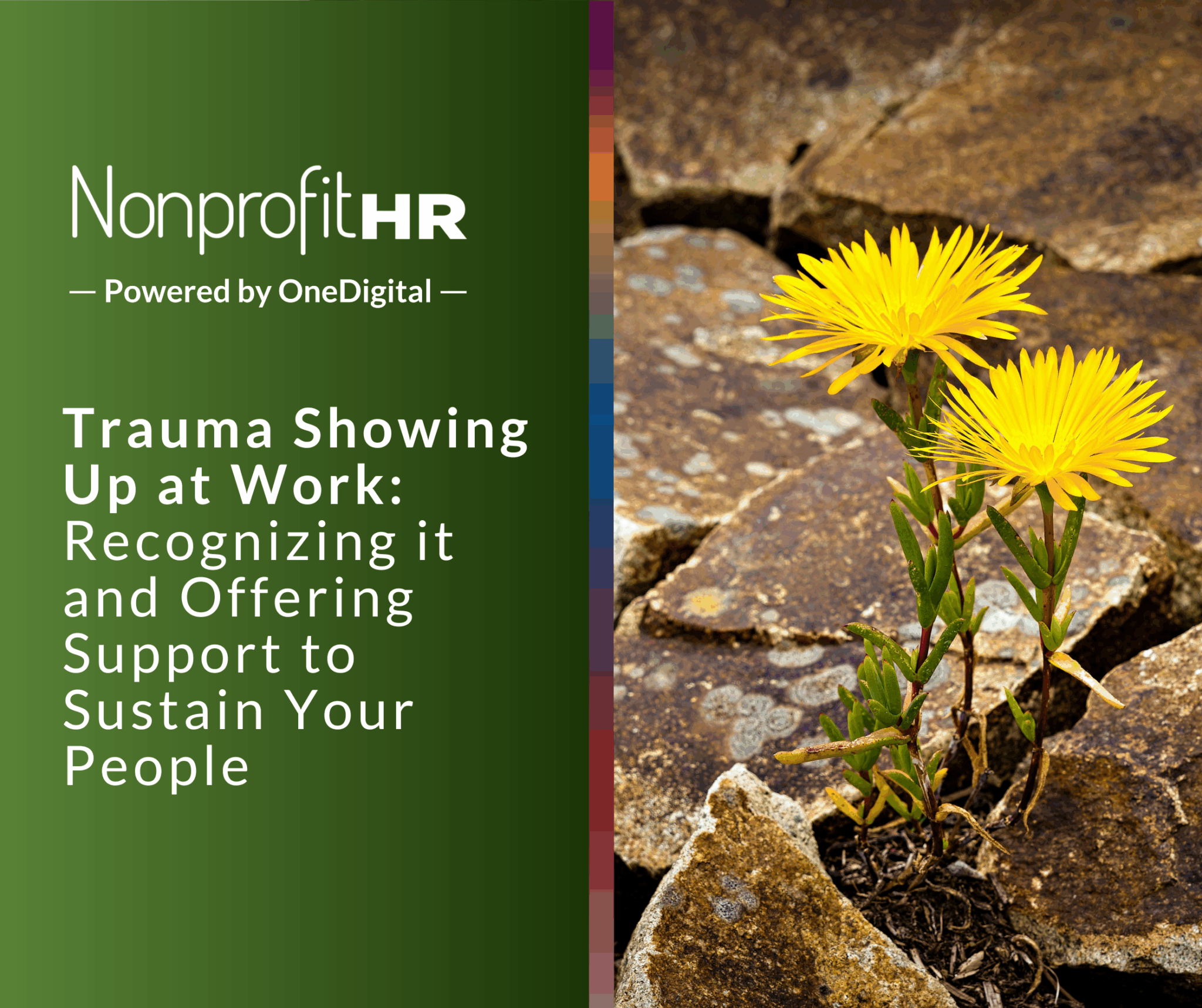 Trauma-Informed Leadership: Why Self-Care Matters for Nonprofit Executives?